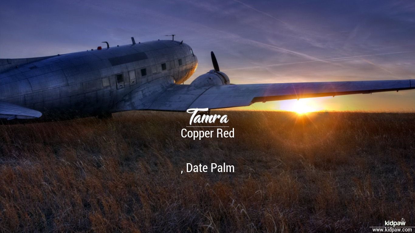 Tamra 3D Name Wallpaper for Mobile, Write تامرا Name on Photo Online