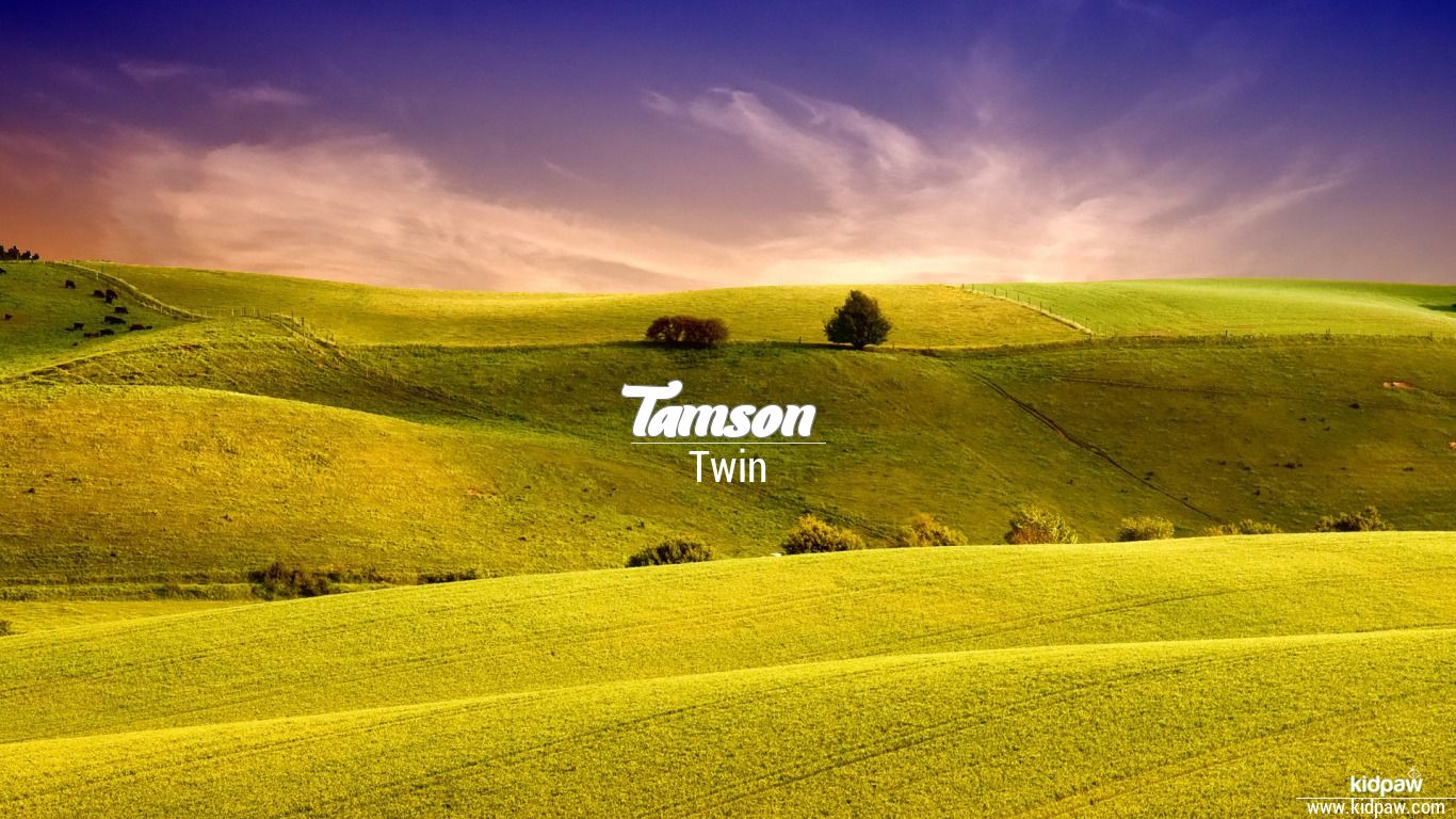 Tamson Meanings in English, Popularity, Origin