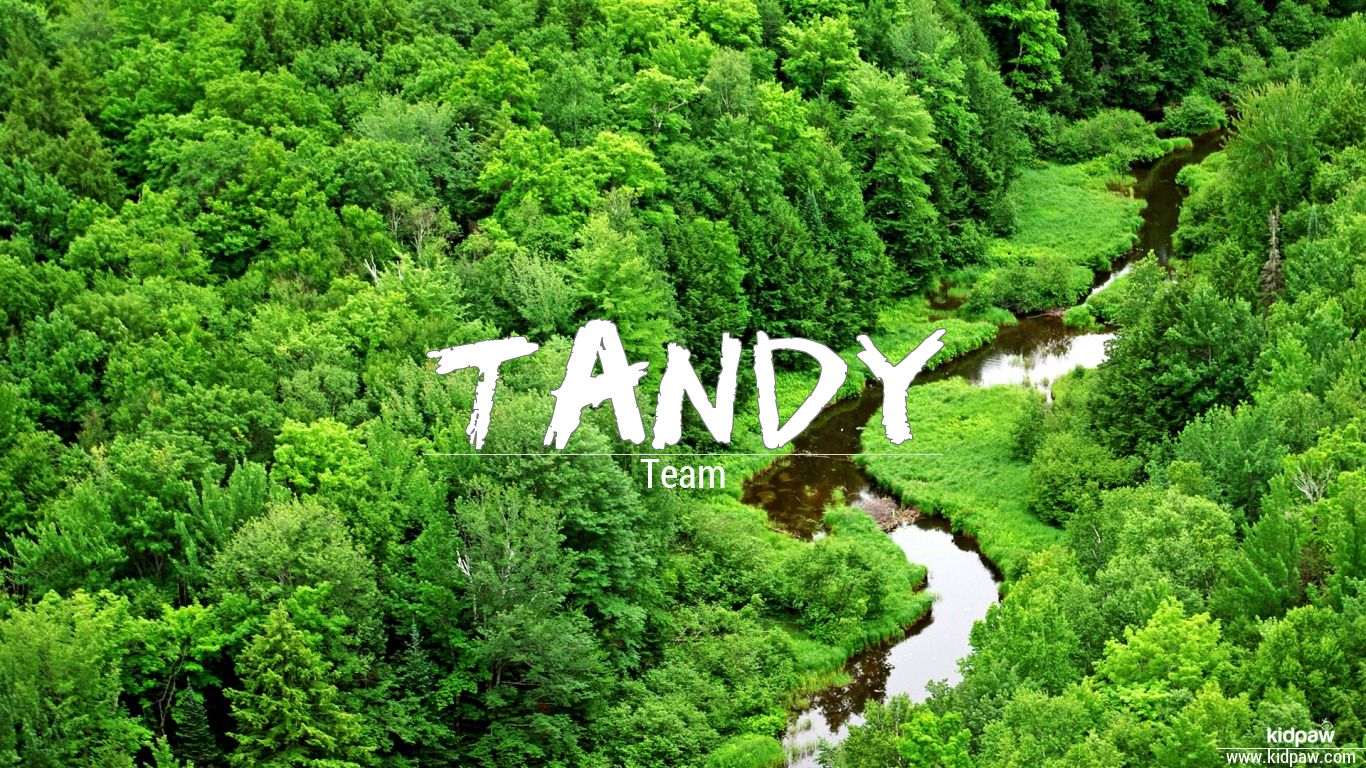Tandy 3D Name Wallpaper for Mobile, Write Name on Photo Online