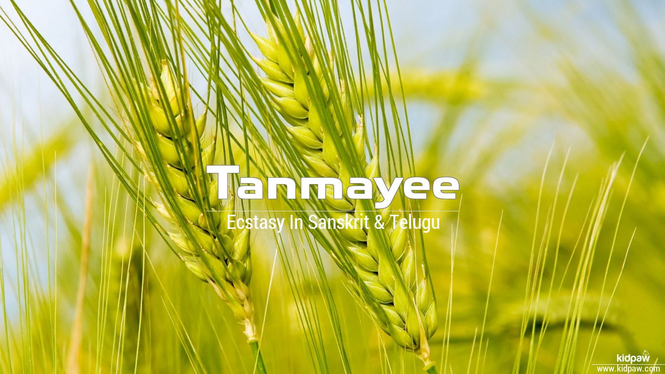 तन्मयी | Tanmayee Name Meaning in Hindi & English, Rashi, Nakshatra ...