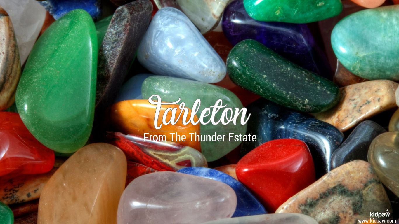 Tarleton 3D Name Wallpaper for Mobile, Write Name on Photo Online