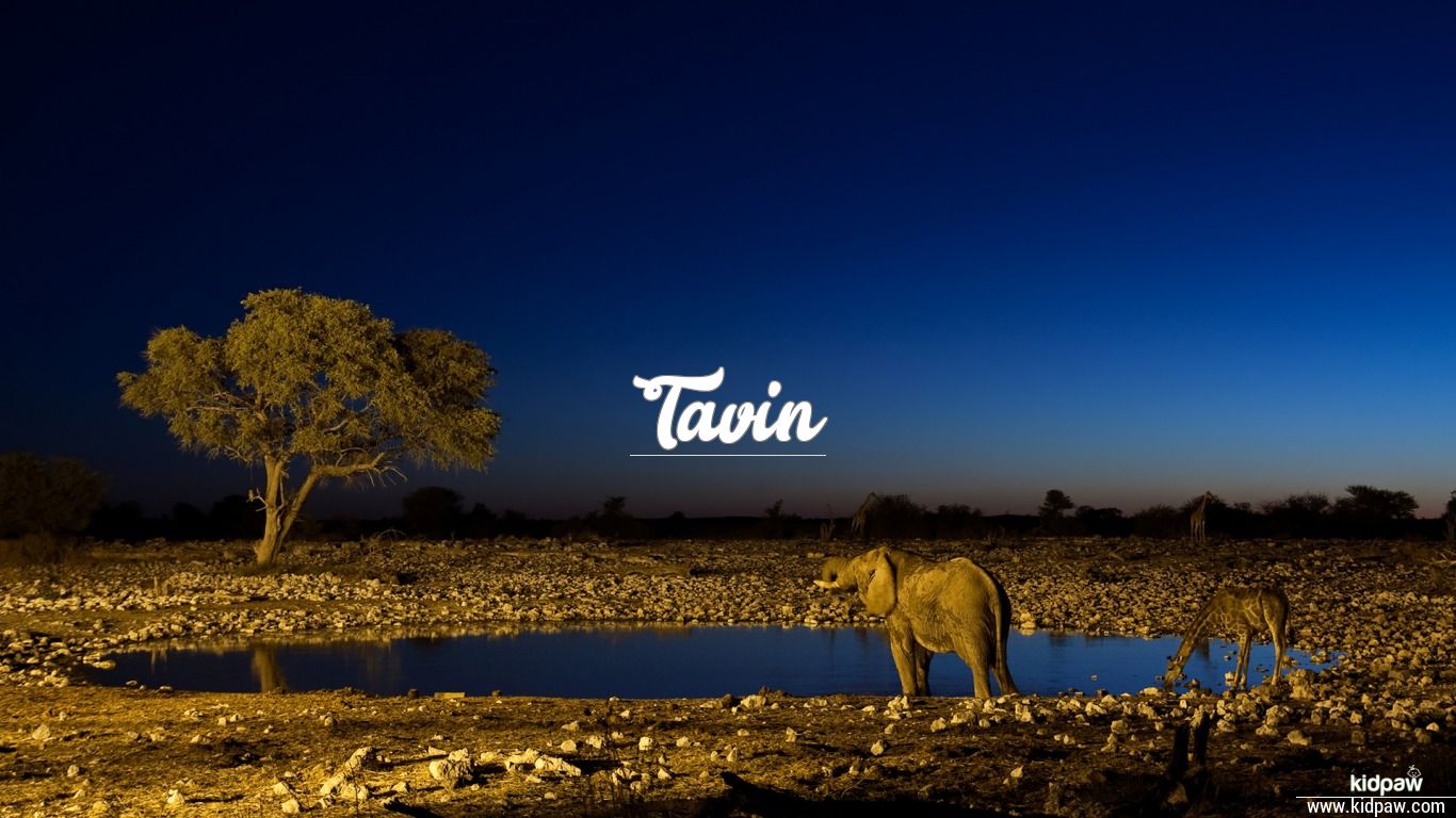 Tavin 3D Name Wallpaper for Mobile, Write Name on Photo Online