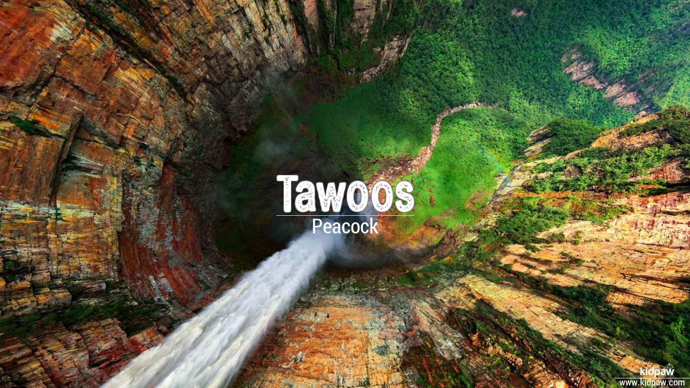Tawoos Name Meaning in English & Urdu, Origin, Luck Number