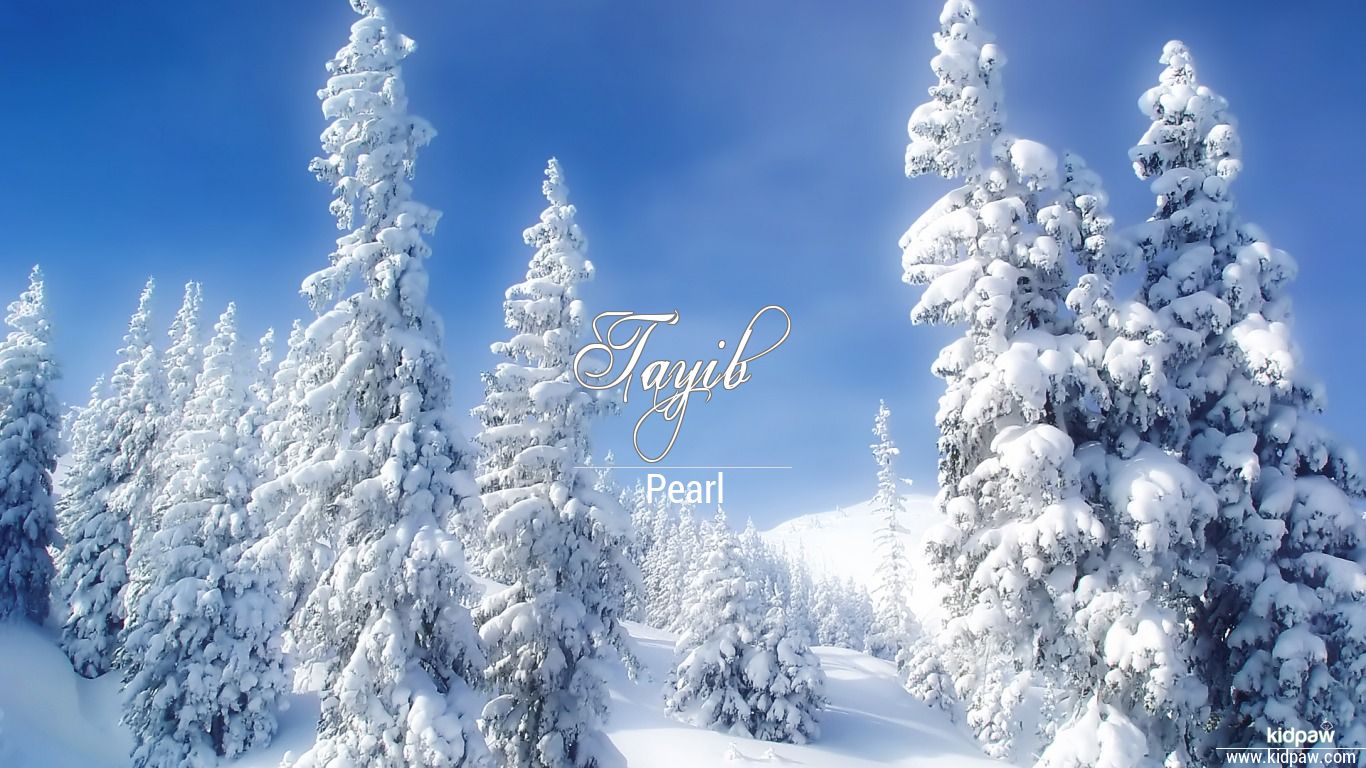 Tayib 3D Name Wallpaper for Mobile, Write Name on Photo Online
