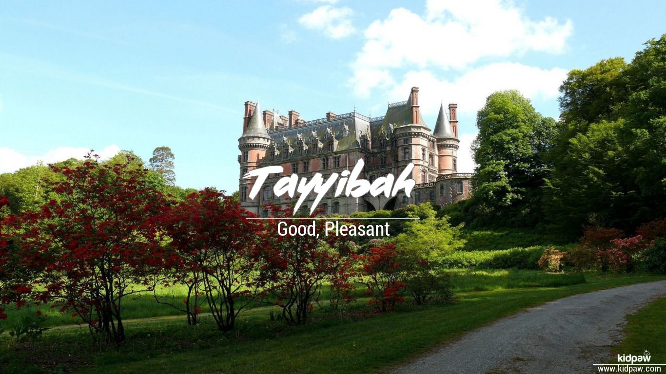 Tayyibah Name Meaning in English & Urdu, Origin, Luck Number