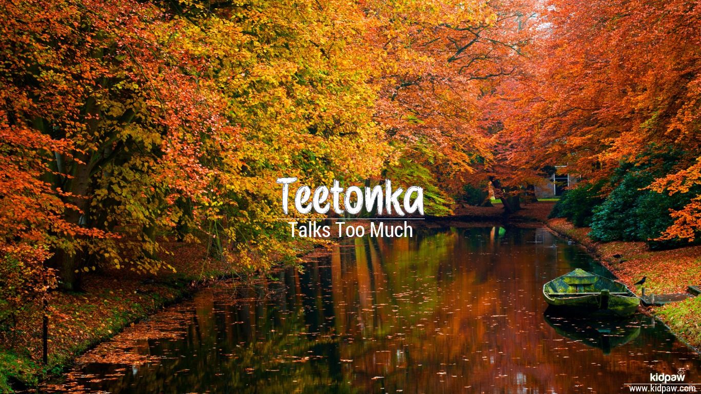 Teetonka 3D Name Wallpaper for Mobile, Write Name on Photo Online