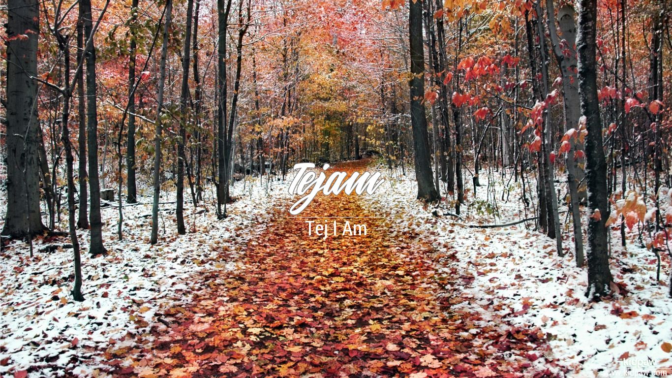 तेजम | Tejam Name Meaning in Hindi & English, Rashi, Nakshatra, Origin ...