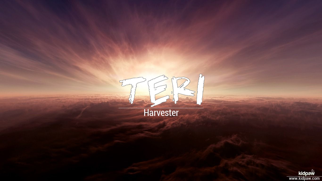 Teri 3D Name Wallpaper for Mobile, Write Name on Photo Online