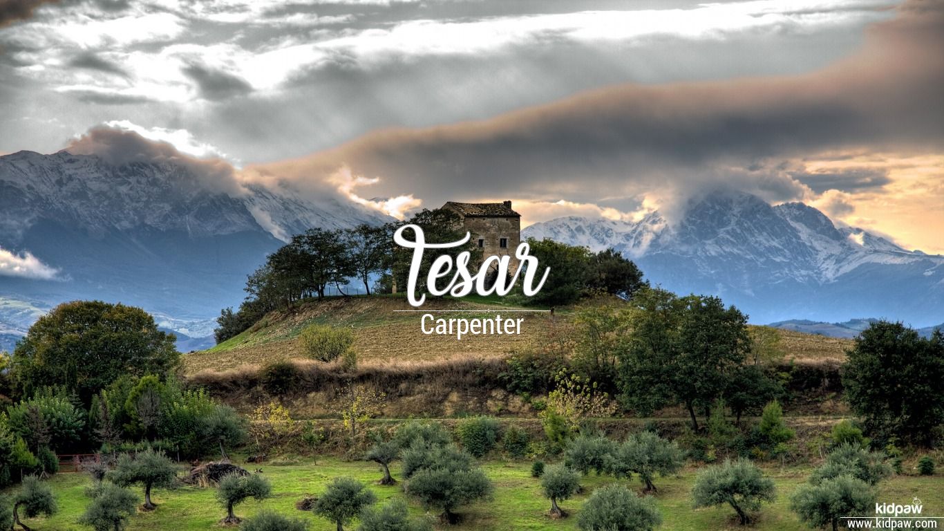 Tesar 3D Name Wallpaper for Mobile, Write Name on Photo Online