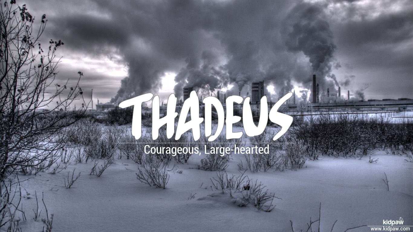 Thadeus Meanings in English, Popularity, Origin