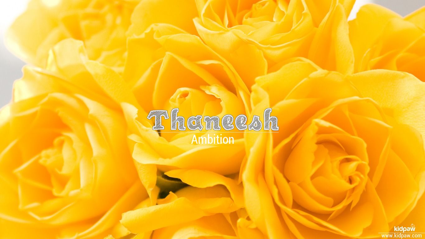 Thaneesh 3D Name Wallpaper for Mobile, Write तनिष Name on Photo Online