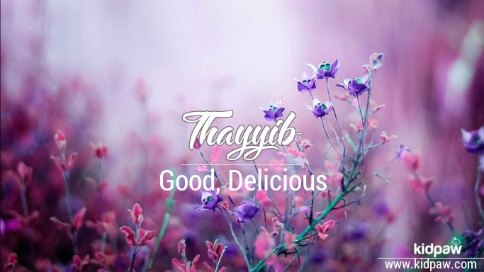 Thayyib 3D Name Wallpaper for Mobile, Write تھیب Name on Photo Online