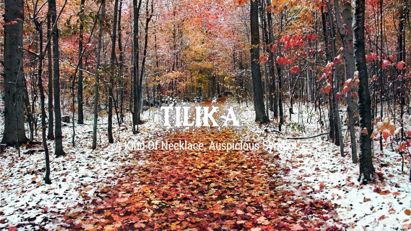 Tilika 3D Name Wallpaper for Mobile, Write तिलिका Name on Photo Online
