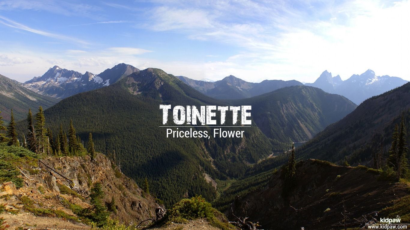 Toinette 3D Name Wallpaper for Mobile, Write Name on Photo Online