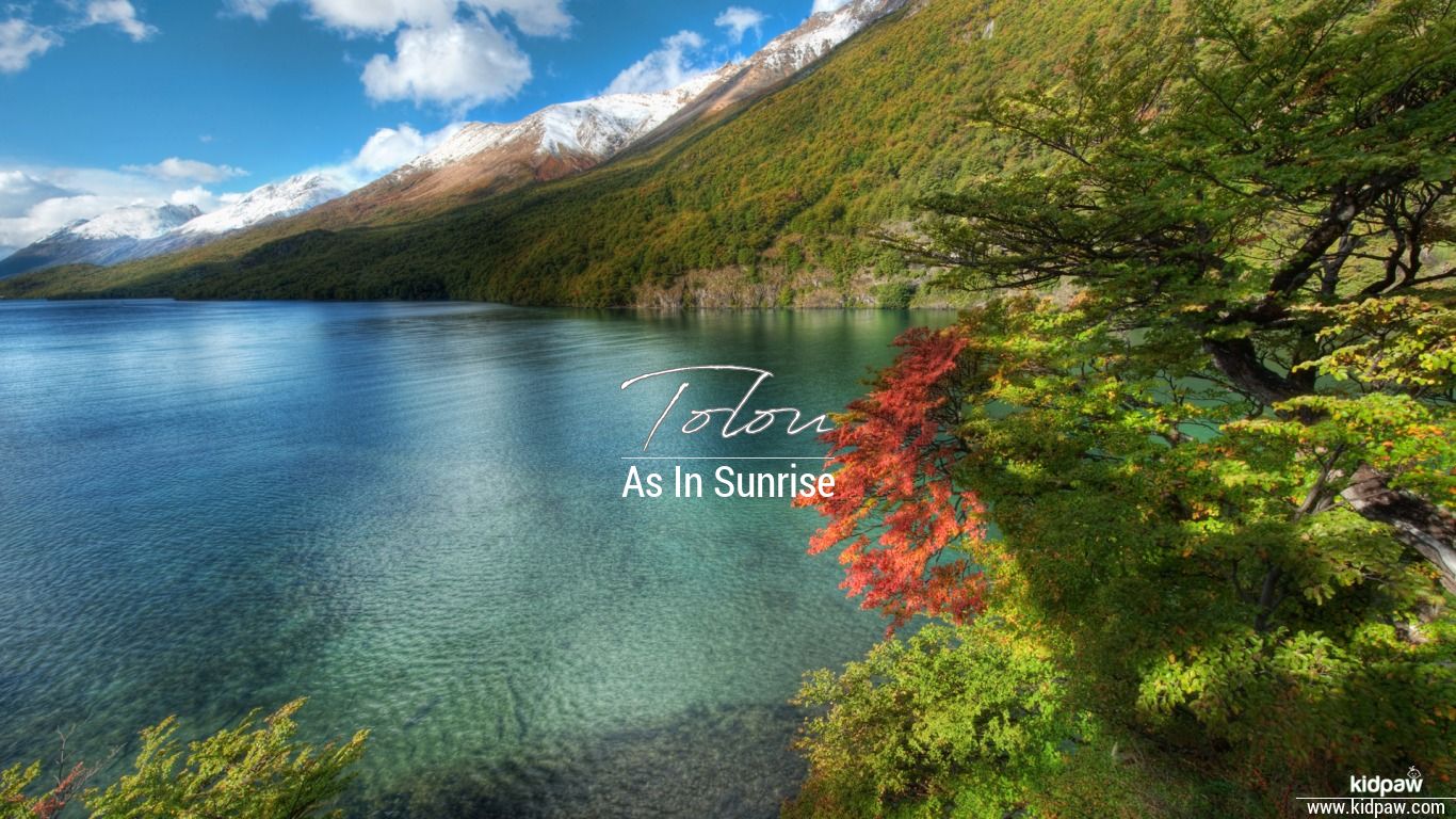 Tolou 3D Name Wallpaper for Mobile, Write Name on Photo Online