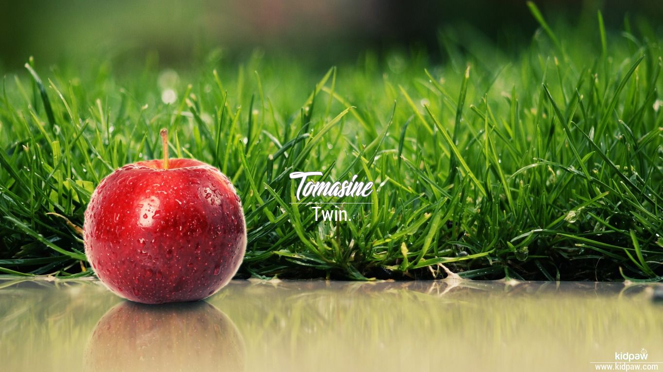 Tomasine 3D Name Wallpaper for Mobile, Write Name on Photo Online
