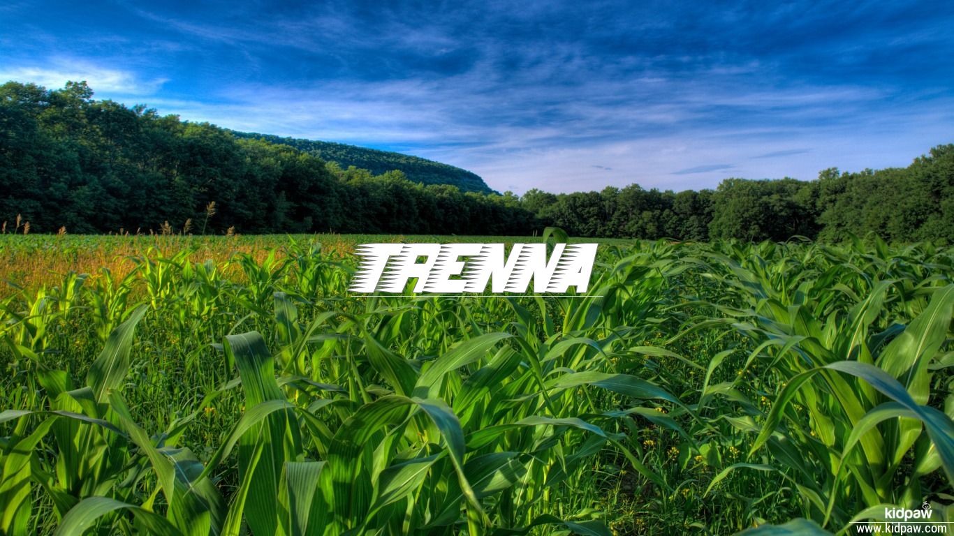 Trenna 3D Name Wallpaper for Mobile, Write Name on Photo Online