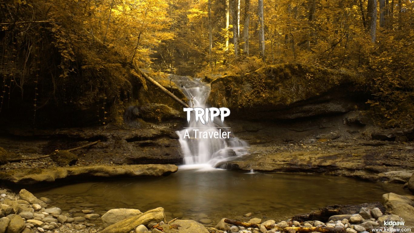 Tripp 3D Name Wallpaper for Mobile, Write Name on Photo Online