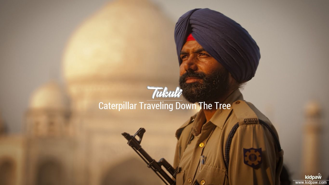 Tukuli 3D Name Wallpaper for Mobile, Write Name on Photo Online