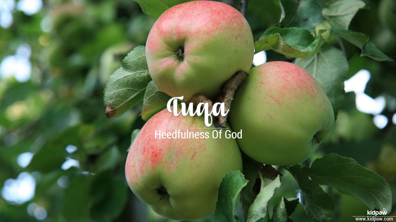 Tuqa 3D Name Wallpaper for Mobile, Write توقع Name on Photo Online