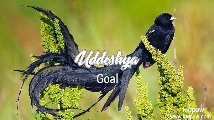 उद्देश्य | Uddeshya Name Meaning in Hindi & English, Rashi, Nakshatra ...