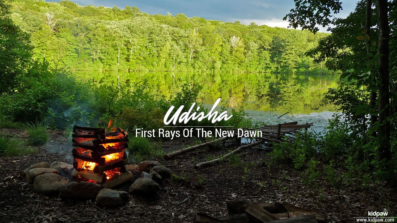 Udisha 3D Name Wallpaper for Mobile, Write उदीशा Name on Photo Online