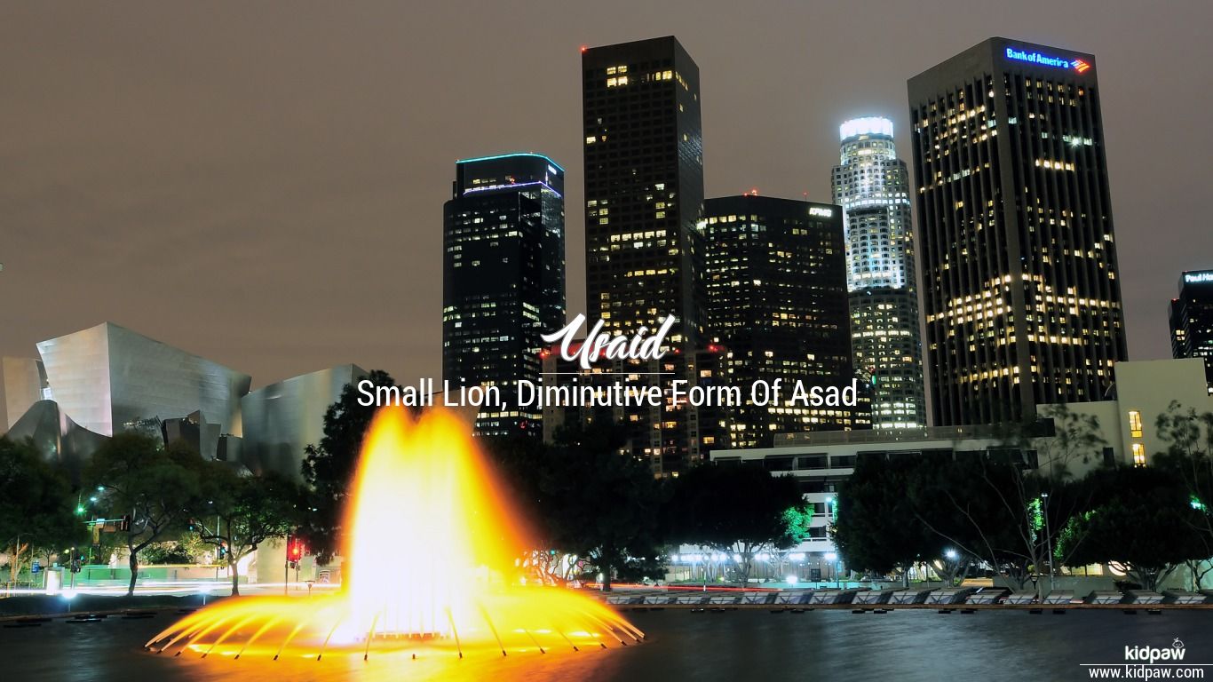 Usaid Name Meaning in English & Urdu, Origin, Luck Number