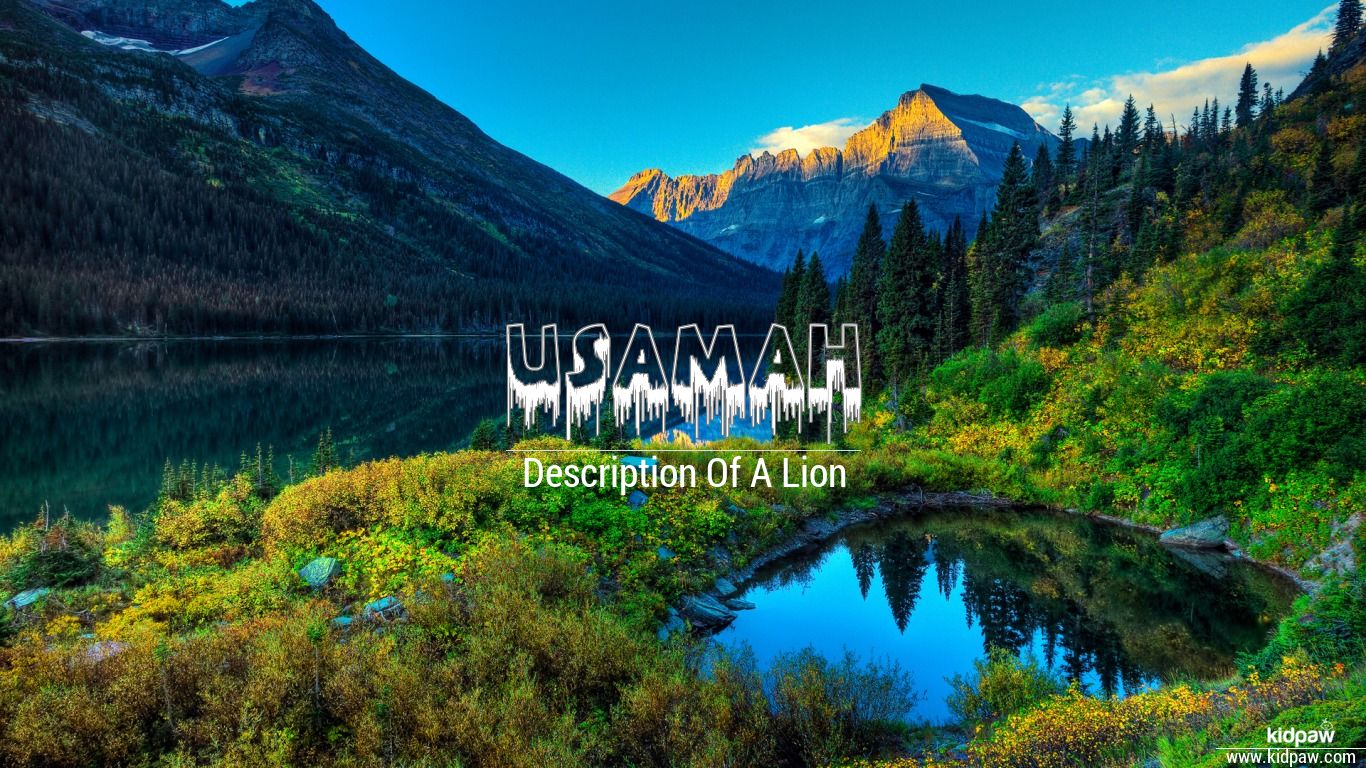 Usamah 3D Name Wallpaper for Mobile, Write اسامہ Name on Photo Online