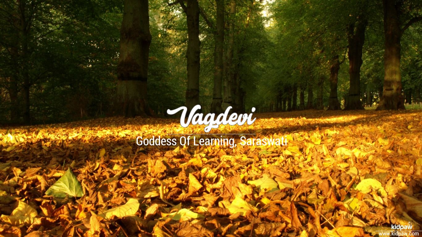 Vagdevi 3D Name Wallpaper for Mobile, Write वगदेवी Name on Photo Online