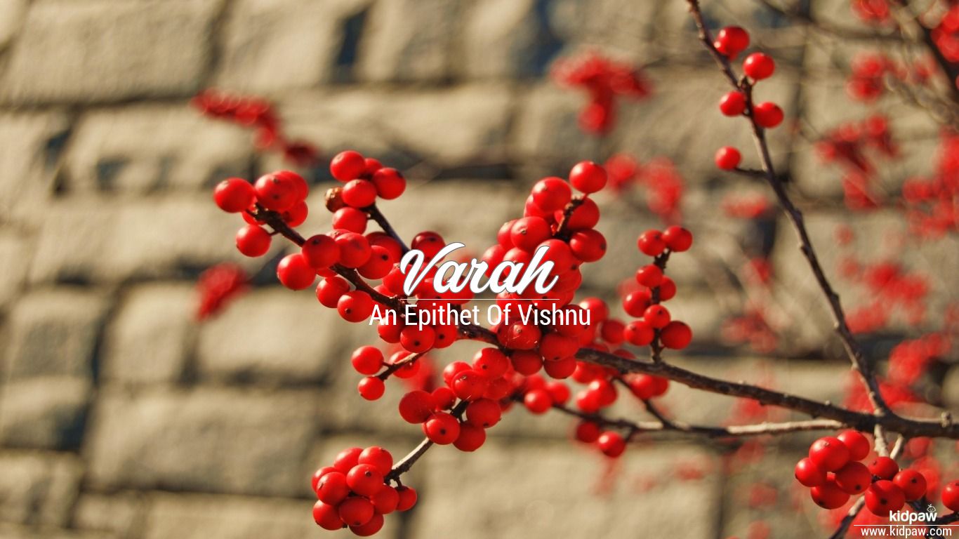 Varah 3D Name Wallpaper for Mobile, Write वराह Name on Photo Online