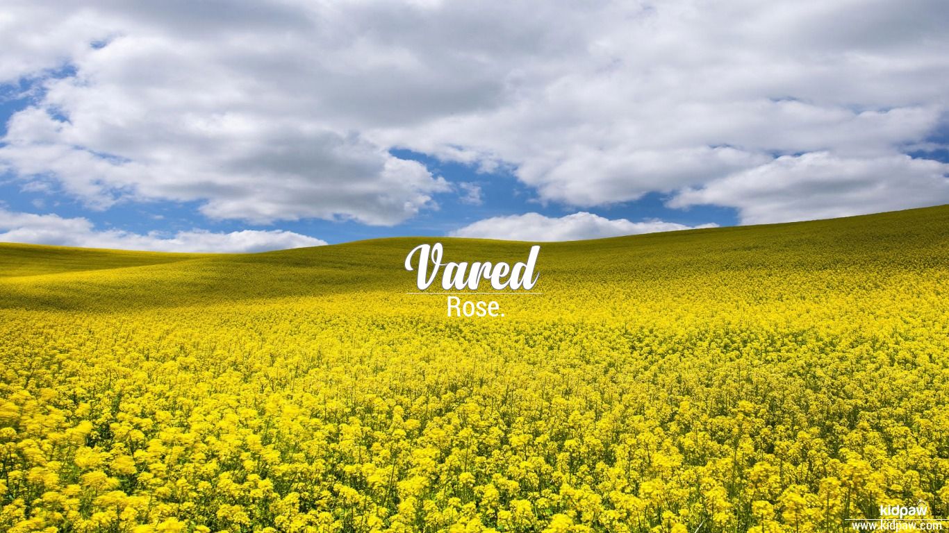 Vared 3D Name Wallpaper for Mobile, Write Name on Photo Online