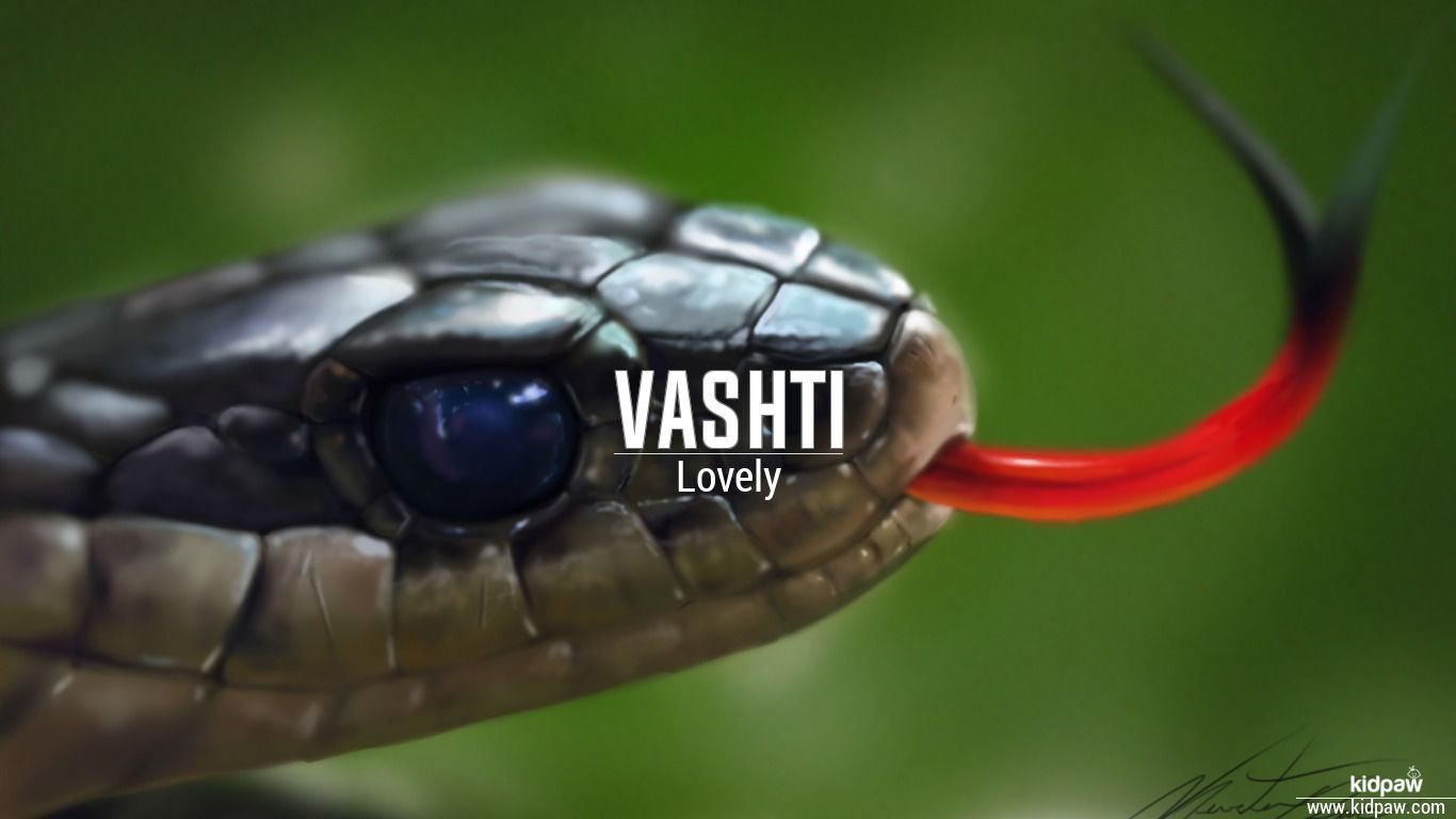 Vashti Name Meaning in English & Urdu, Origin, Luck Number