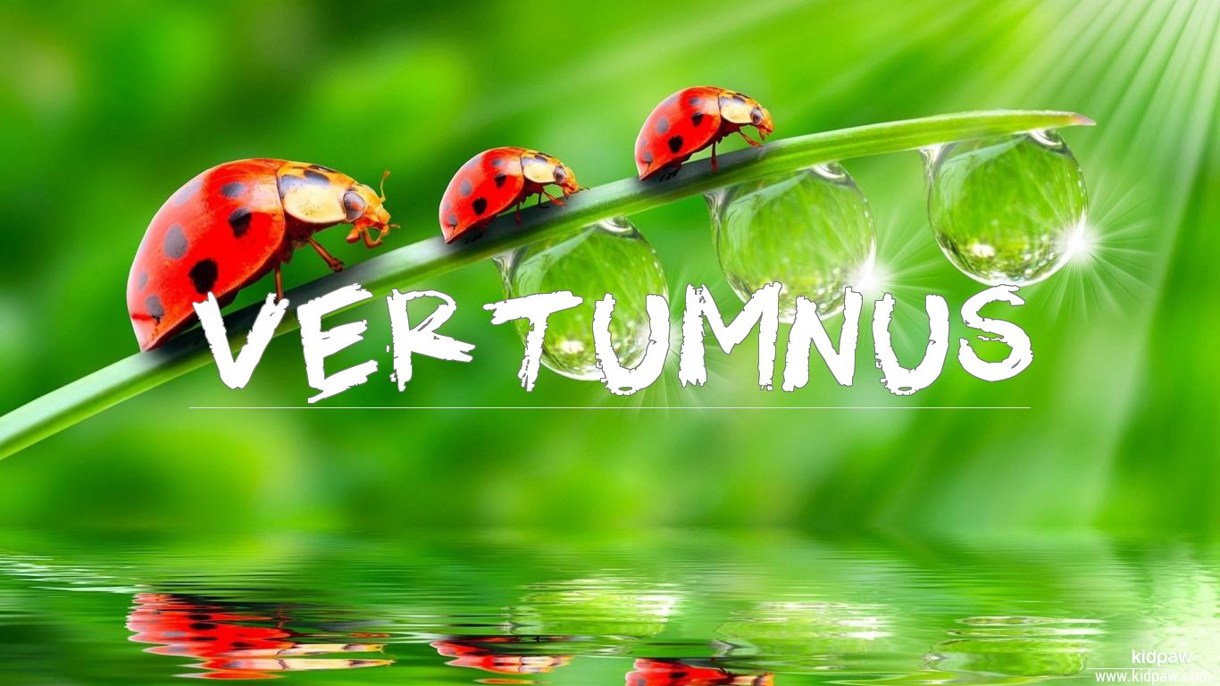 Vertumnus 3D Name Wallpaper for Mobile, Write Name on Photo Online