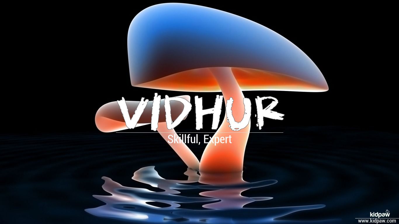 Vidhur 3D Name Wallpaper for Mobile, Write विधुर Name on Photo Online