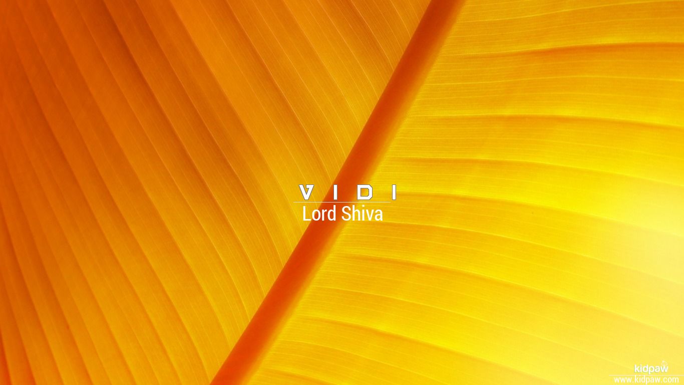 Vidi 3D Name Wallpaper for Mobile, Write विदी Name on Photo Online