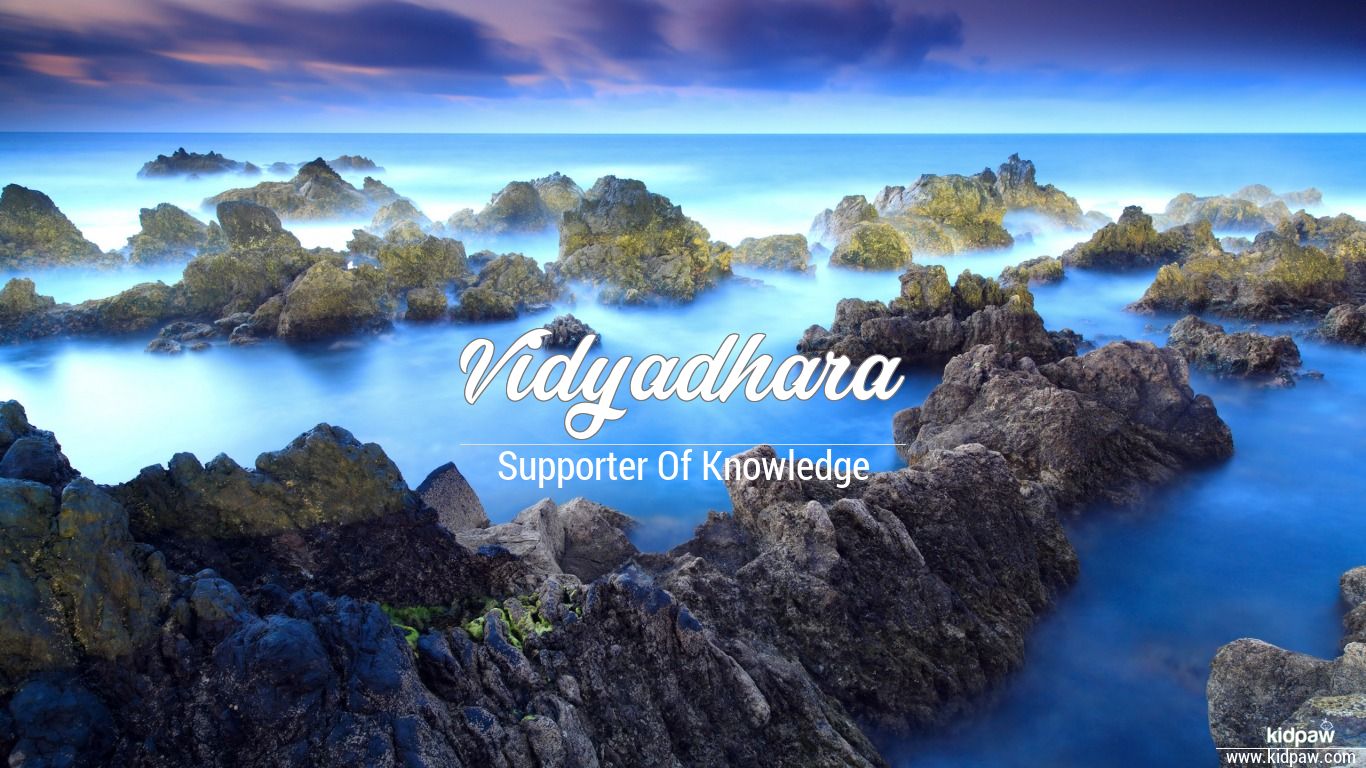 Vidyadhara 3D Name Wallpaper for Mobile, Write विद्याधरा Name on Photo ...