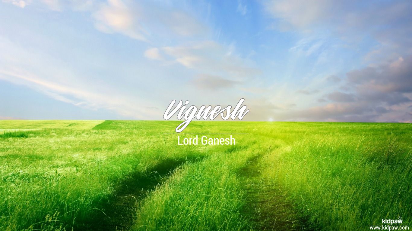 विगनेश, विग्नेश | Vignesh Name Meaning in Hindi & English, Rashi ...
