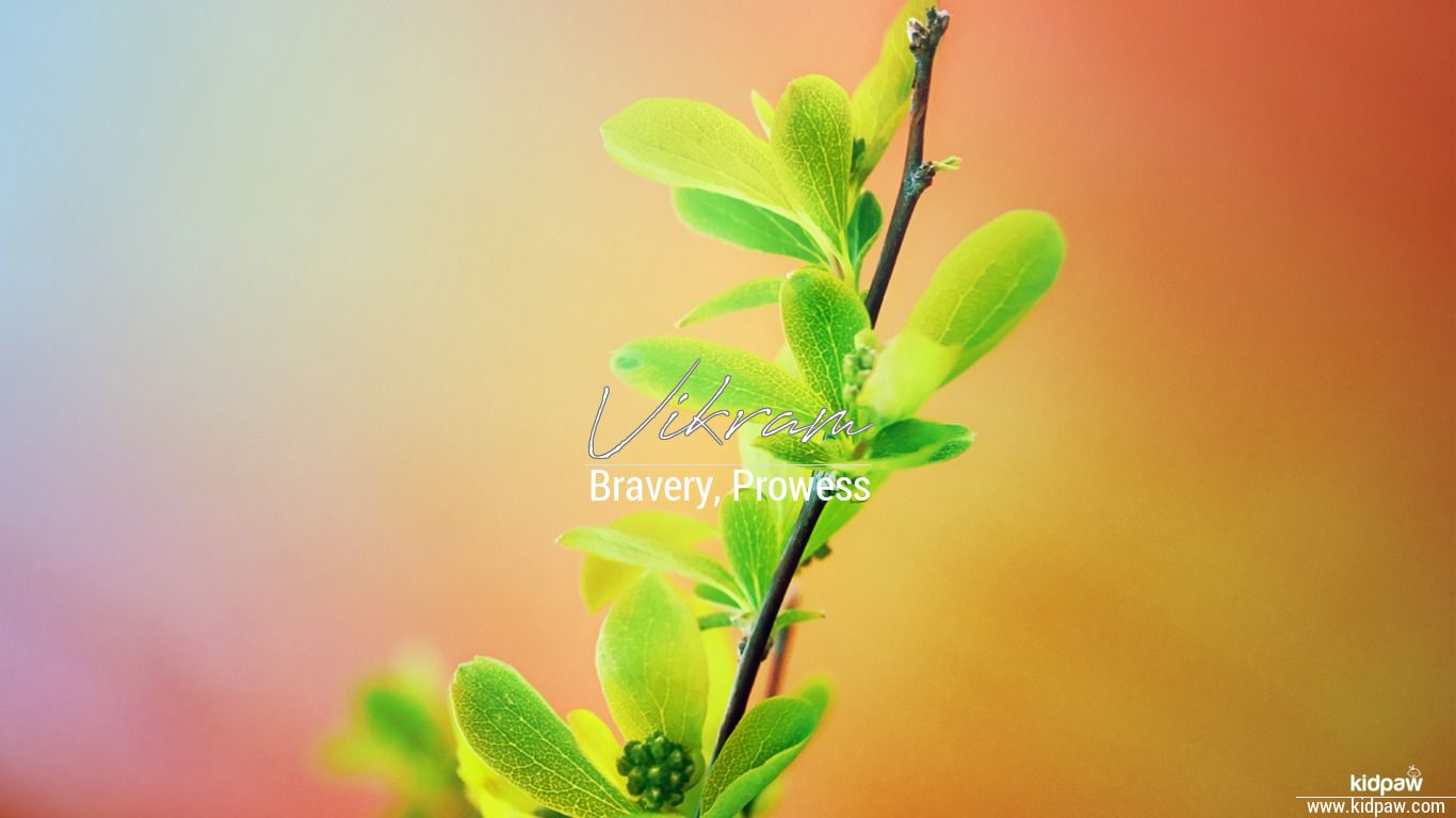 Vikram 3D Name Wallpaper for Mobile, Write विक्रम Name on Photo Online