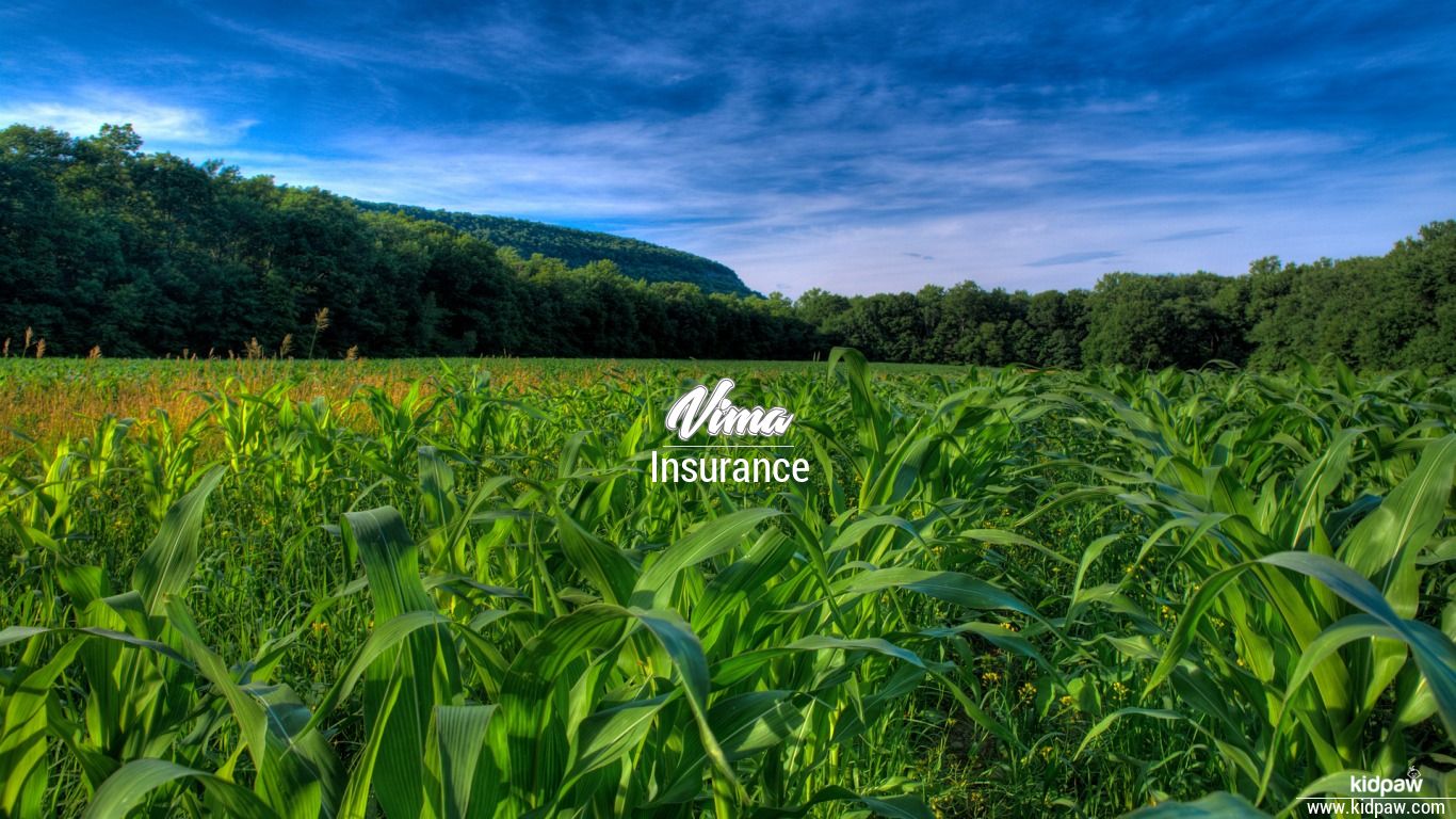 Vima 3D Name Wallpaper for Mobile, Write वीमा Name on Photo Online