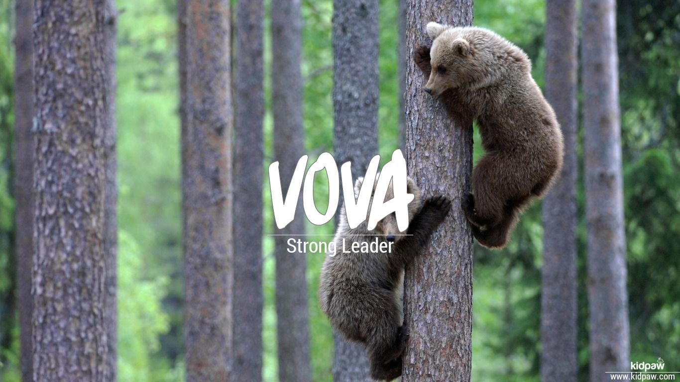 Vova 3D Name Wallpaper for Mobile, Write Name on Photo Online