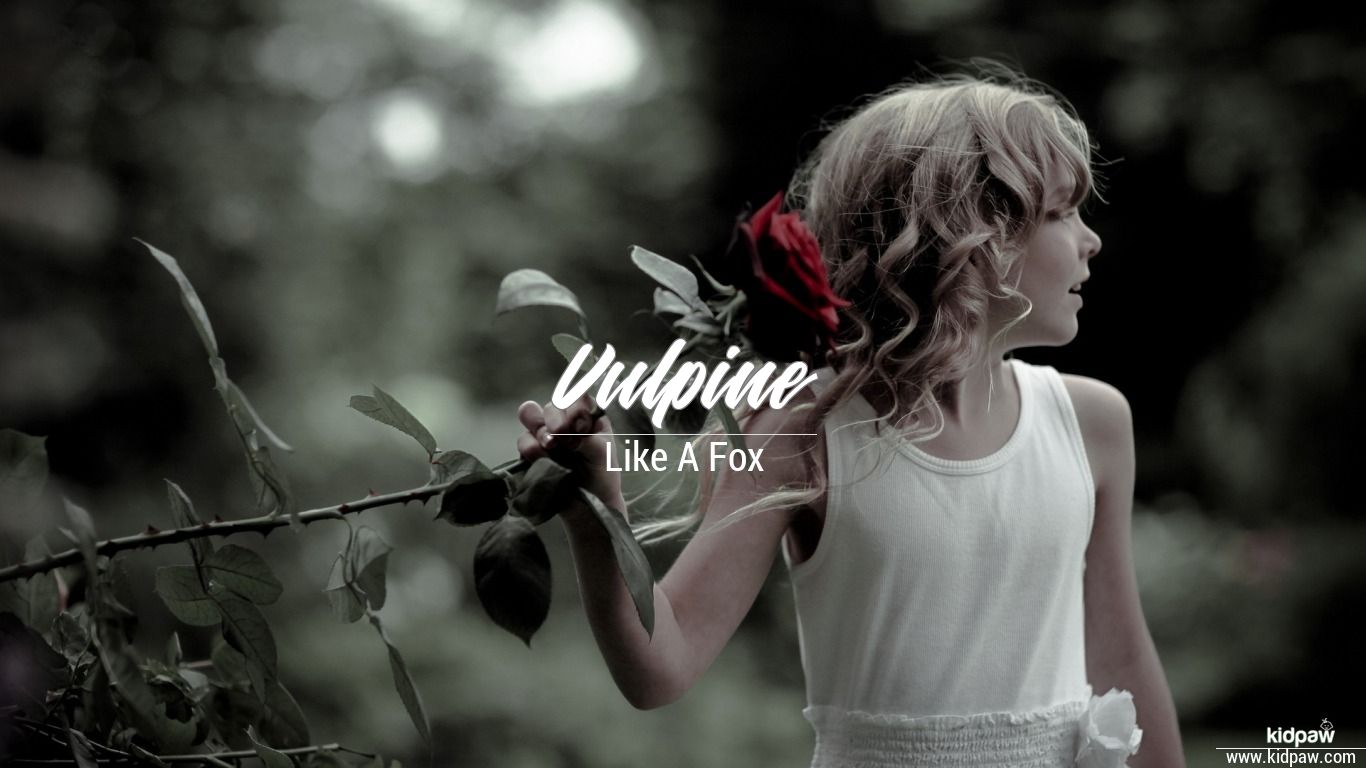 Vulpine Name Meaning in Urdu نام کی تفصیل، لکی نمبر