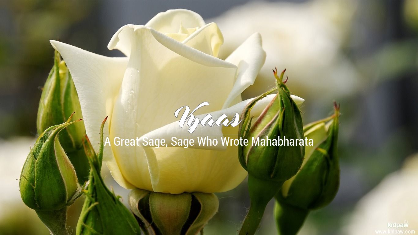 Vyaas 3D Name Wallpaper for Mobile, Write व्यास Name on Photo Online
