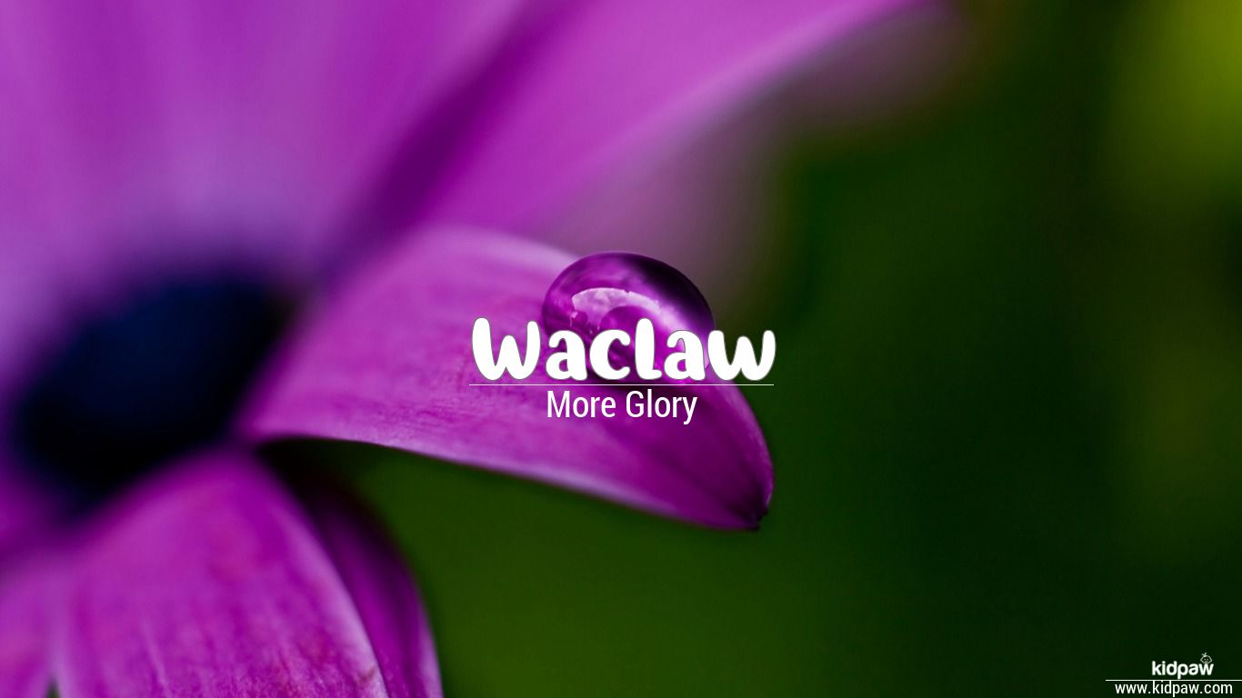 Waclaw 3D Name Wallpaper for Mobile, Write Name on Photo Online