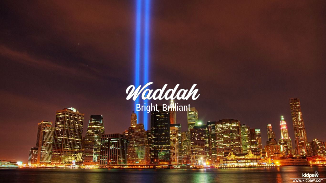 Waddah 3D Name Wallpaper for Mobile, Write وعدہ Name on Photo Online