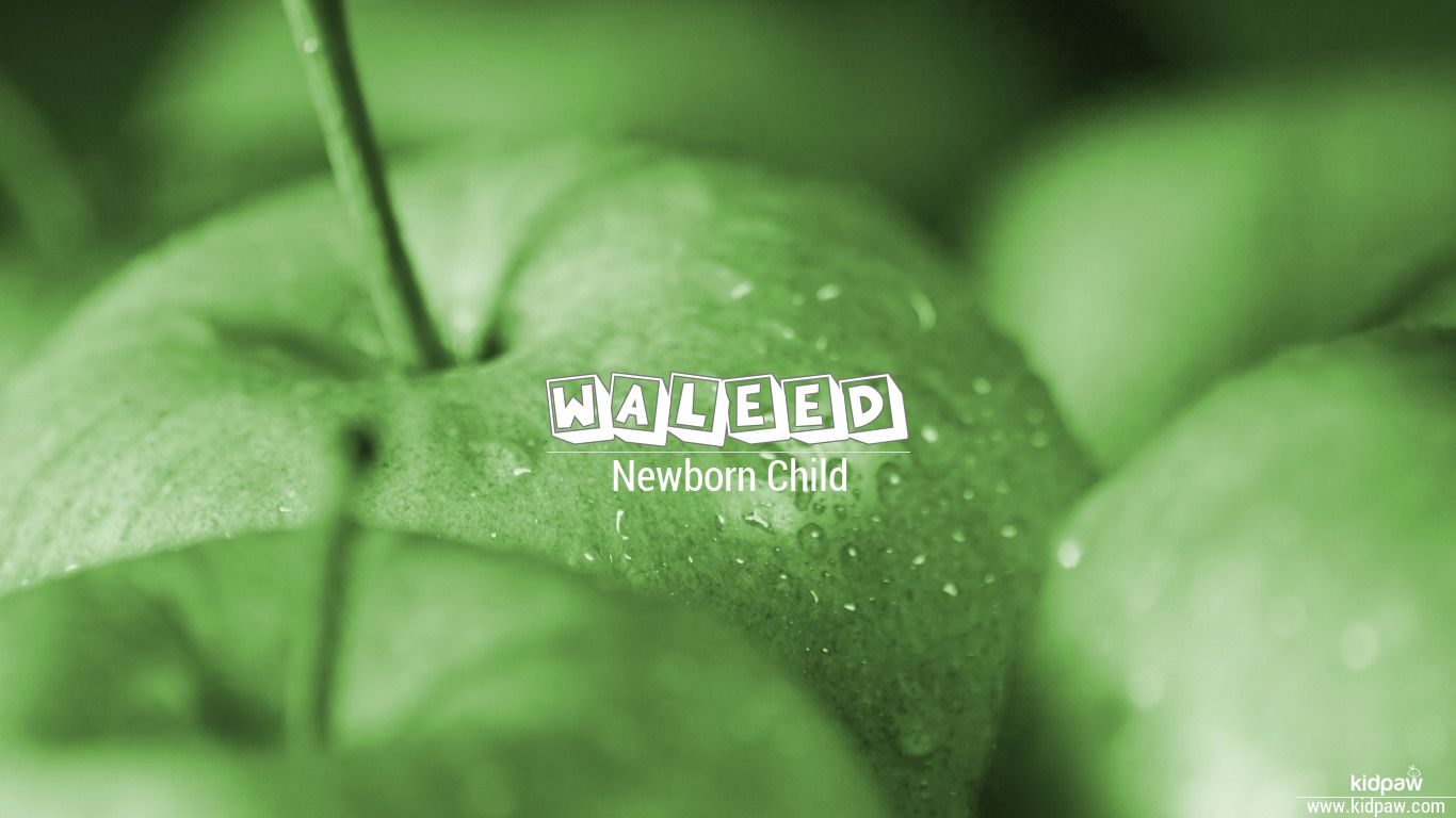 Waleed 3D Name Wallpaper for Mobile, Write ولید Name on Photo Online