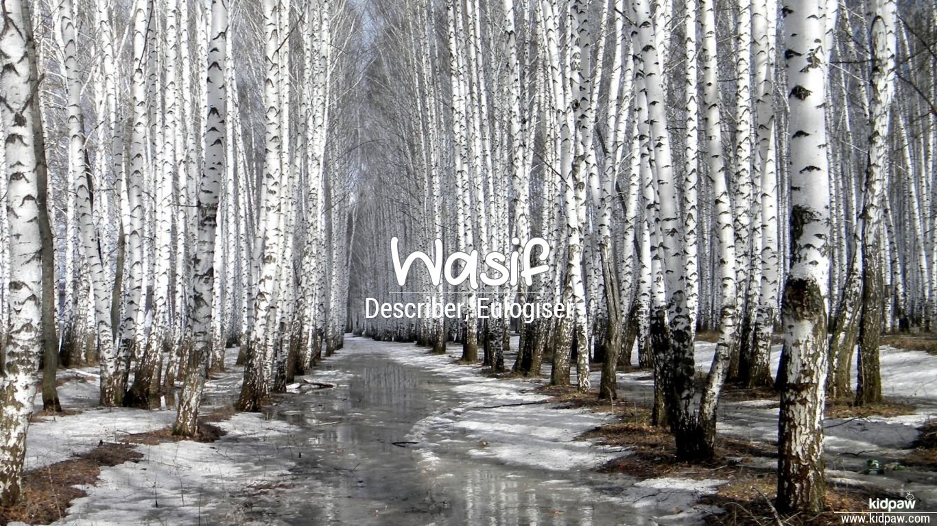 Wasif 3D Name Wallpaper for Mobile, Write وصف Name on Photo Online