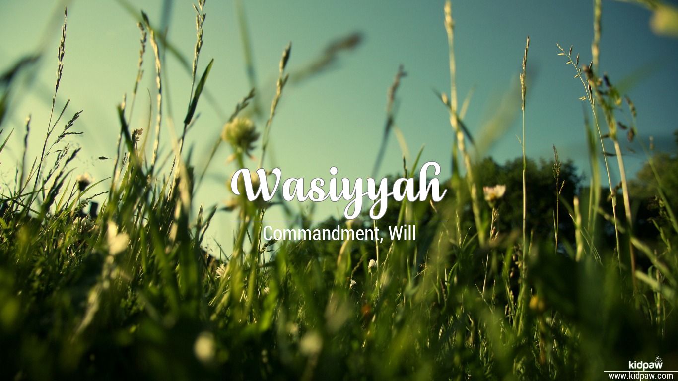 Wasiyyah 3D Name Wallpaper for Mobile, Write Name on Photo Online