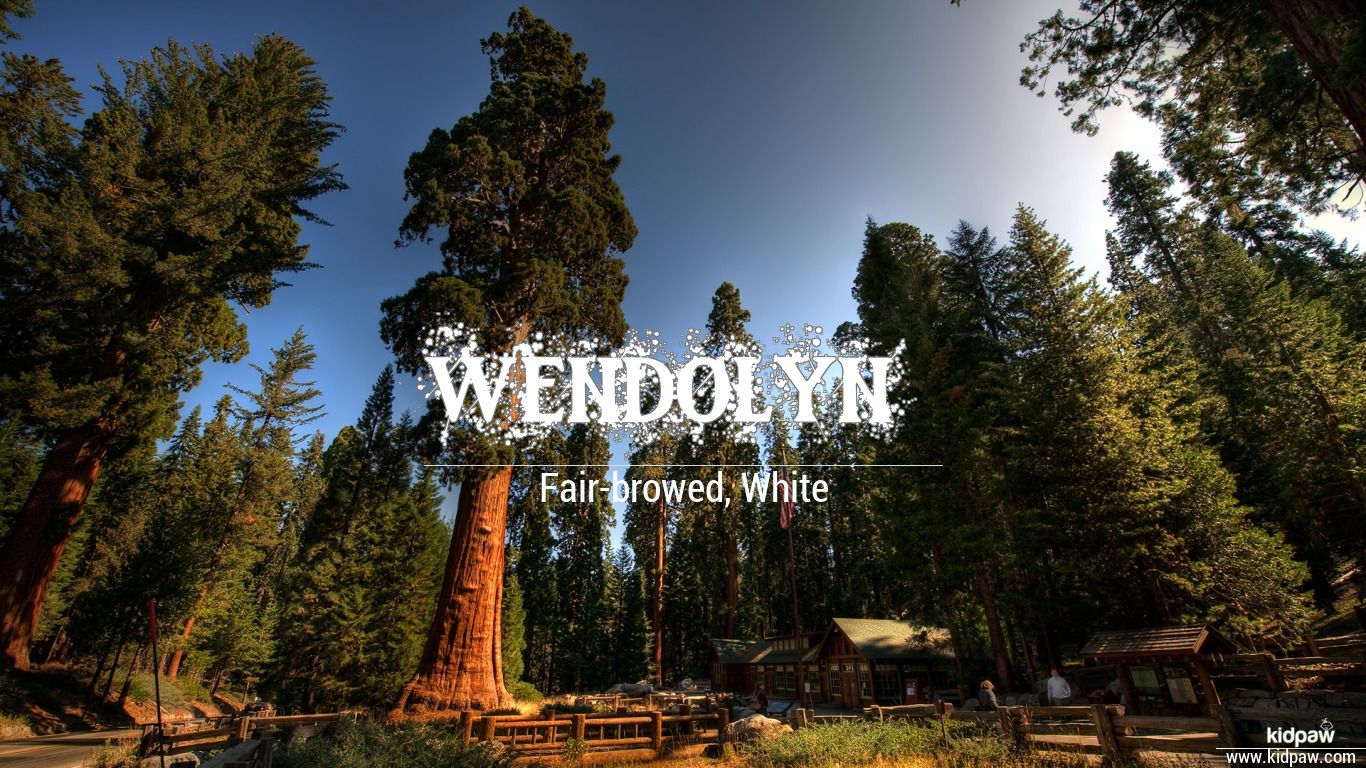 Wendolyn Meanings in English, Popularity, Origin