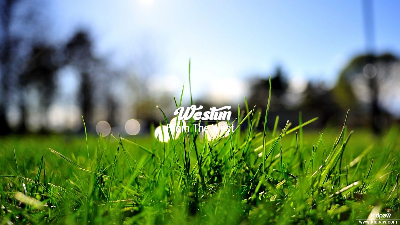 Westun 3D Name Wallpaper for Mobile, Write Name on Photo Online