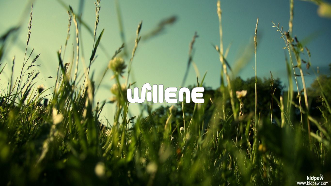 Willene 3D Name Wallpaper for Mobile, Write Name on Photo Online
